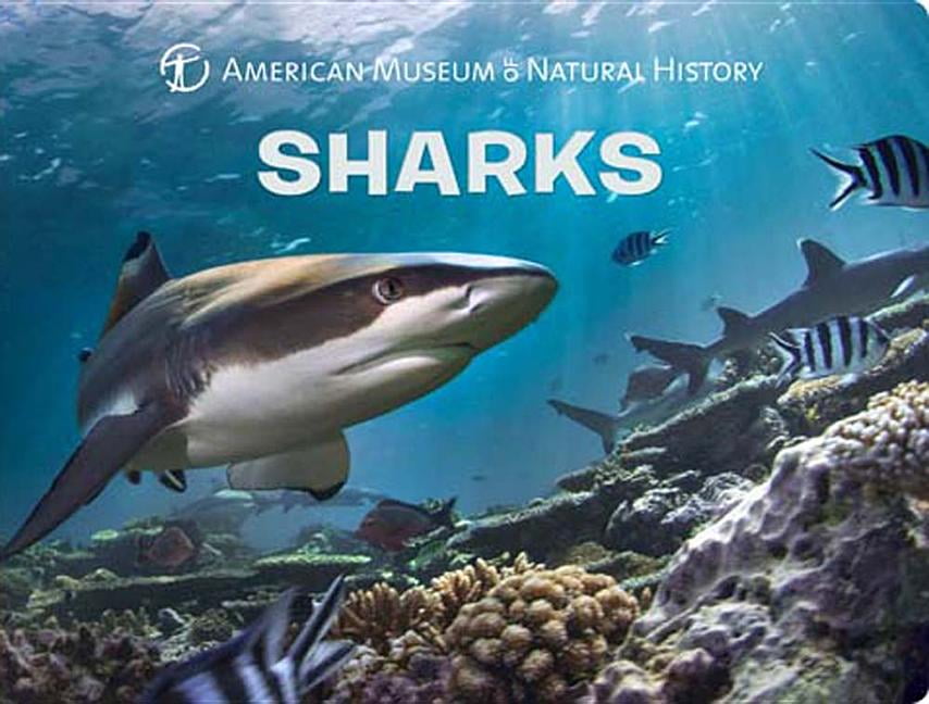 Sharks (Board Book) - Walmart.com