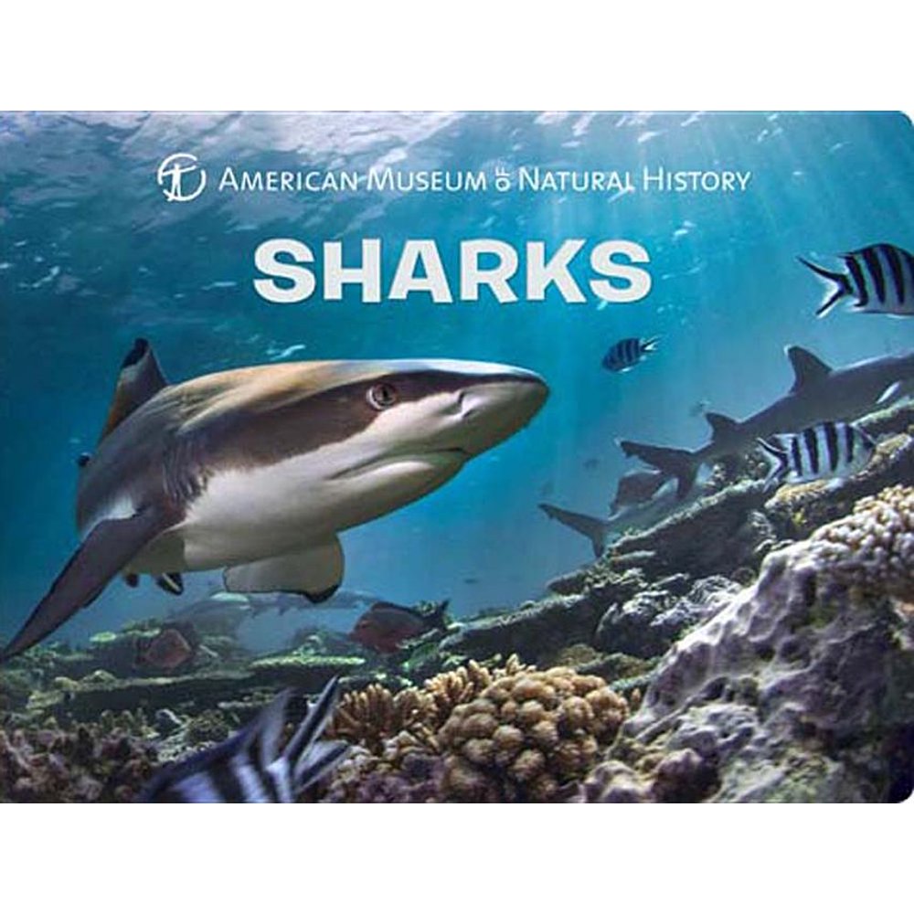 Sharks (Board Book) - Walmart.com - Walmart.com
