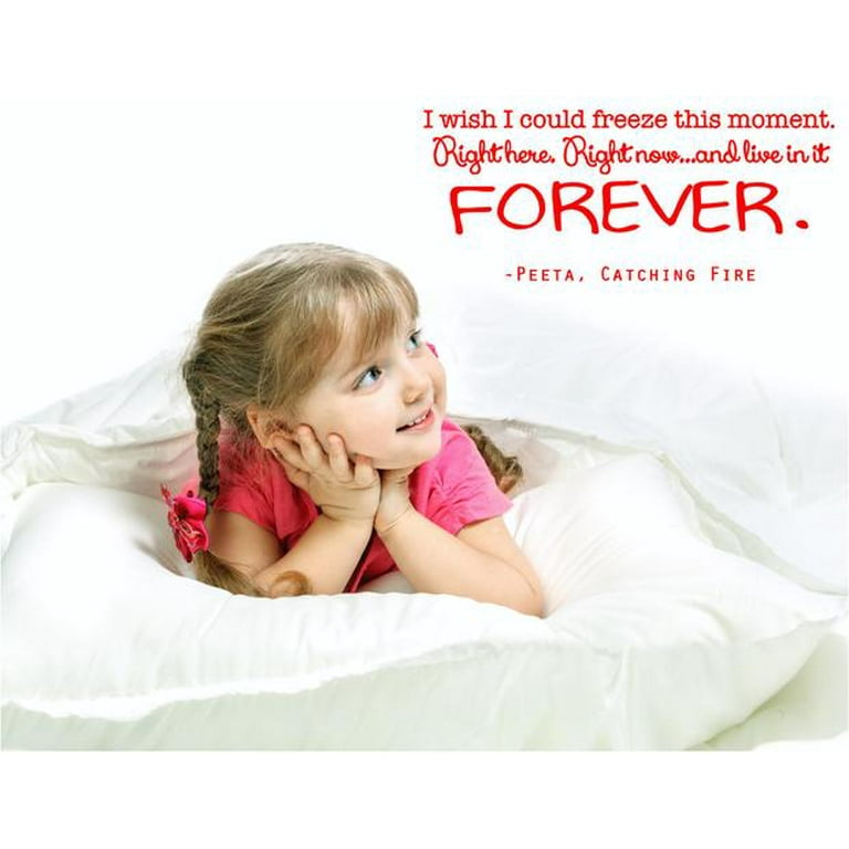 Catching Fire Movie Quotes