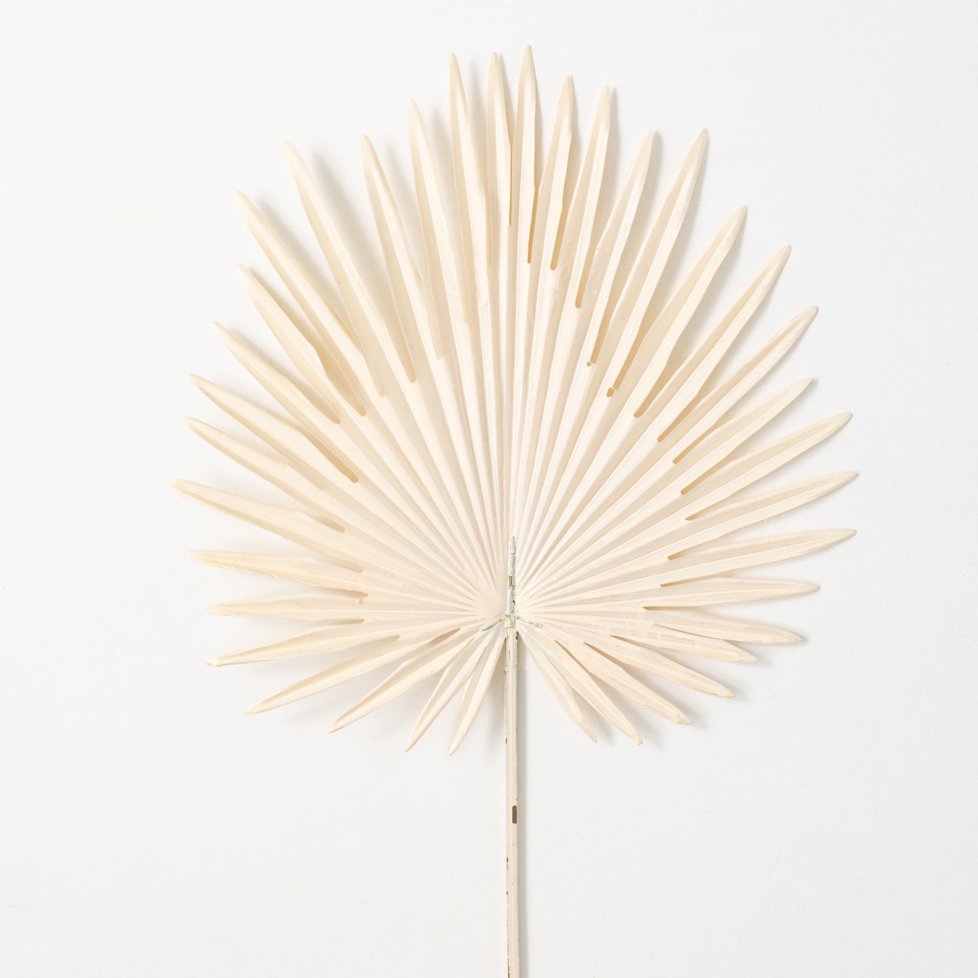 36"H Sullivans Cream Fan Palm Leaf, Cream - Walmart.com