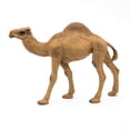 Papo Dromedary Figure, Multicolor - Walmart.com