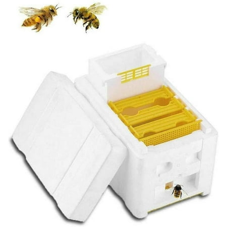 Bee Mating Hive, Beekeeping Queen Breeding Box, Rearing Beehive Harvest ...