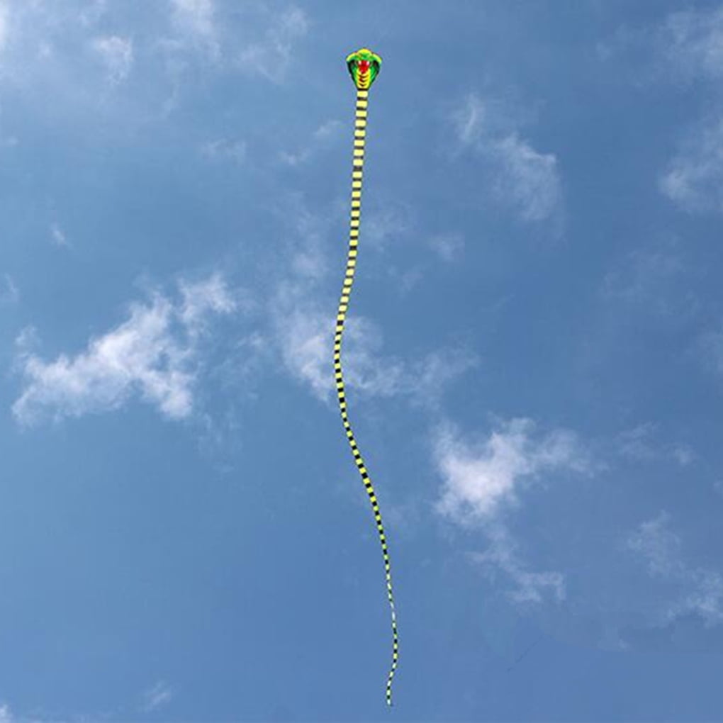 Linyer Fiberglass Kite Portable Interactive Animal Shape Kites Outdoor ...