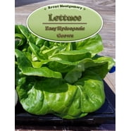 Green Food Processing Techniques : Preservation, Transformation and ...