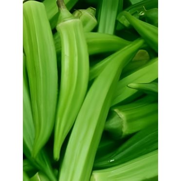 3 Okra Seed Packs - Emerald, Red Burgundy, Clemson Spineless - Annual ...