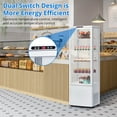 Aoile 8.4 Cu.Ft Commercial Display Refrigerator, Single Door Fridge ...
