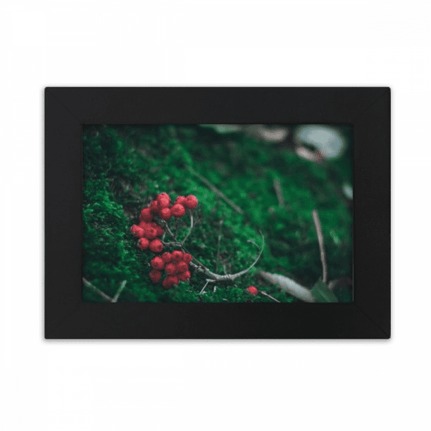 Red Fruit Forestry Science Nature Scenery Desktop Photo Frame Ornaments ...