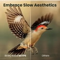 Smart Bird Feeder with Camera Solar Powered, Night Insight & Slow ...