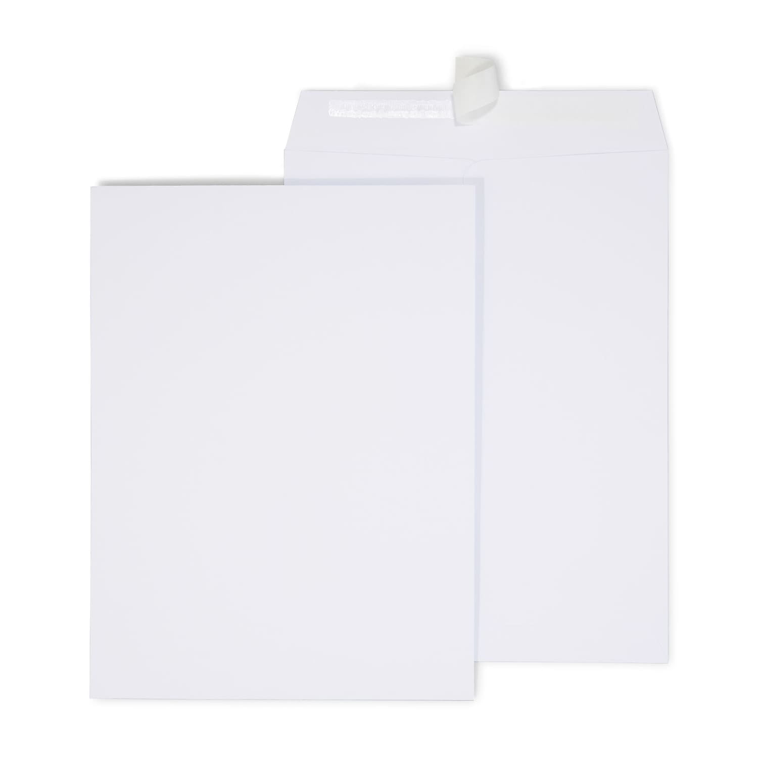 Staples EasyClose Catalog Envelopes 9" x 12" White Wove 250/Box 479885 ...