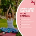 Ancient Bliss Berberine HCL 1200mg, Bitter Melon Capsules, Ceylon ...