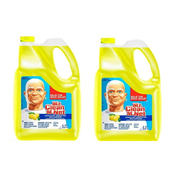 Mr. Clean | Walmart Canada