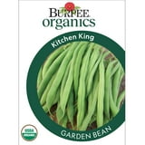 Scarlet Runner Pole Bean Seeds - 15 Gram Packet - Non-GMO, Heirloom ...