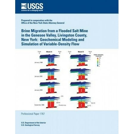 Brine Migration from a Flooded Salt Mine in the Genesee Valley ...