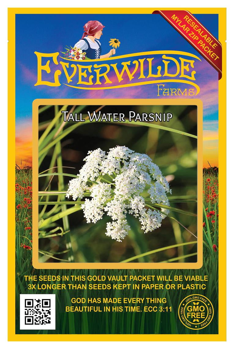 Everwilde Farms - 200 Tall Water Parsnip Native Wildflower Seeds - Gold ...