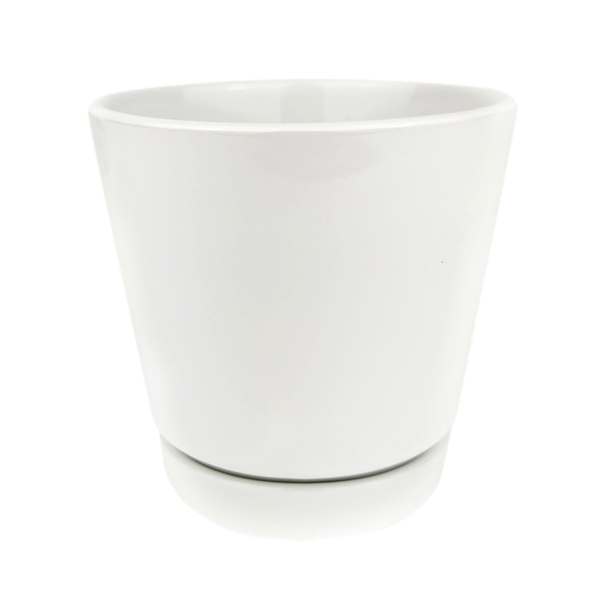 6 inch White Minimalist Pot with Saucer - Pot for Houseplants - Large ...