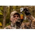 Wildlife Research Center, Golden Estrus with Scent Reflex, 4 fl oz ...