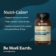 Nature's Sunshine Nutri Calm, Nervous System Support, Sleep Aid ...