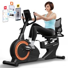 WaveFit B100 Swell Series Indoor Cycle Home Stationary Exercise Bike ...