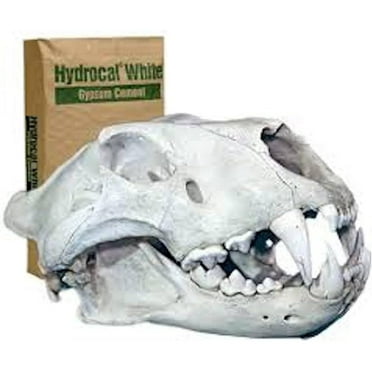 10 Lbs ULTRACAL 30 Gypsum Cement - Plaster - for Moldmaking and Casting ...