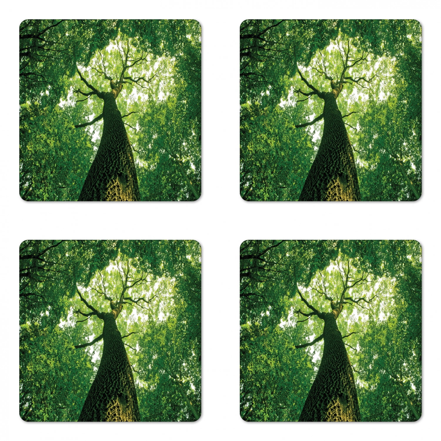 Forest Coaster Set of 4, Tall Old Tree View Sun Rays Top Branches ...