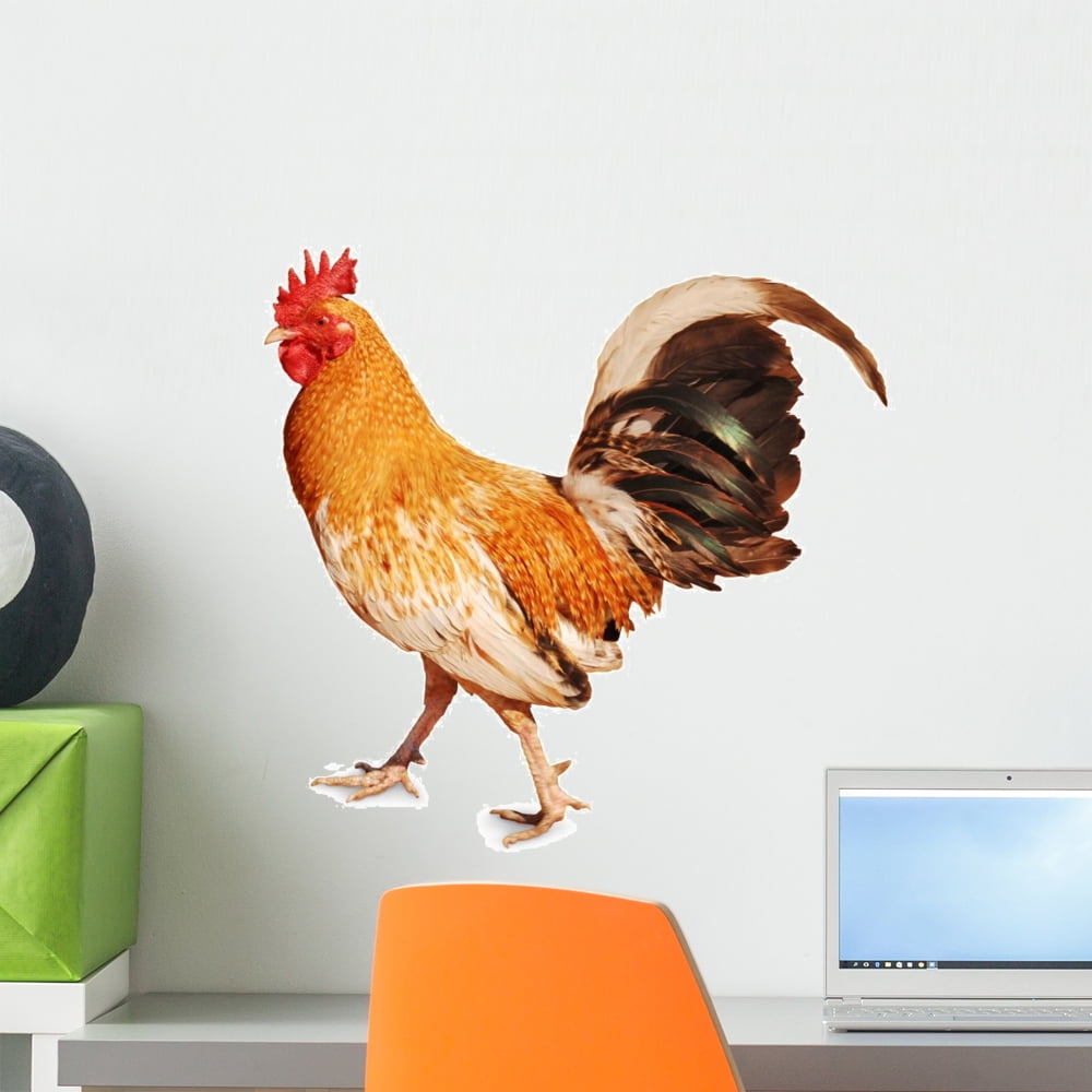 Healthy Rooster Wall Decal by Wallmonkeys Peel and Stick Graphic (18 in ...