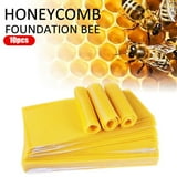 30pcs Honey Sheets Beehive Wax Foundation Beekeeping Equipment Bee Comb ...