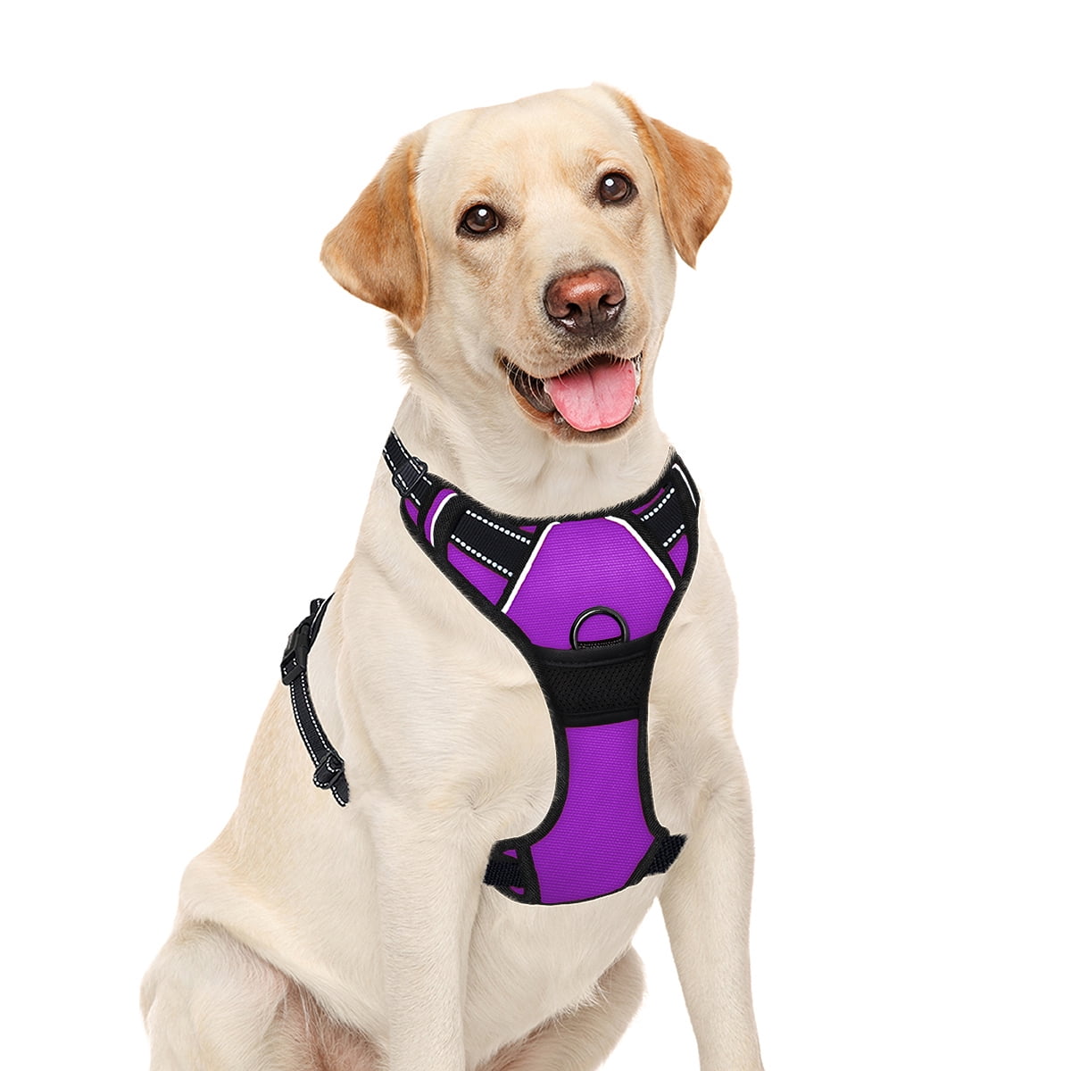 BARKBAY No Pull Dog Harness for Large Dogs with 2 Metal Leash Clips ...