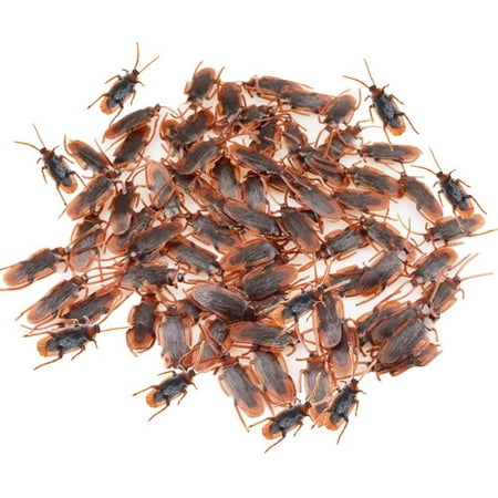 SINOYYONM 50PCS Fake Roaches,Prank Cockroach,Plastic Roach Trick Toys ...