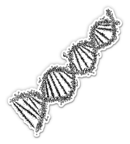 DNA Strand Science - 5" Vinyl Sticker - For Car Laptop I-Pad ...