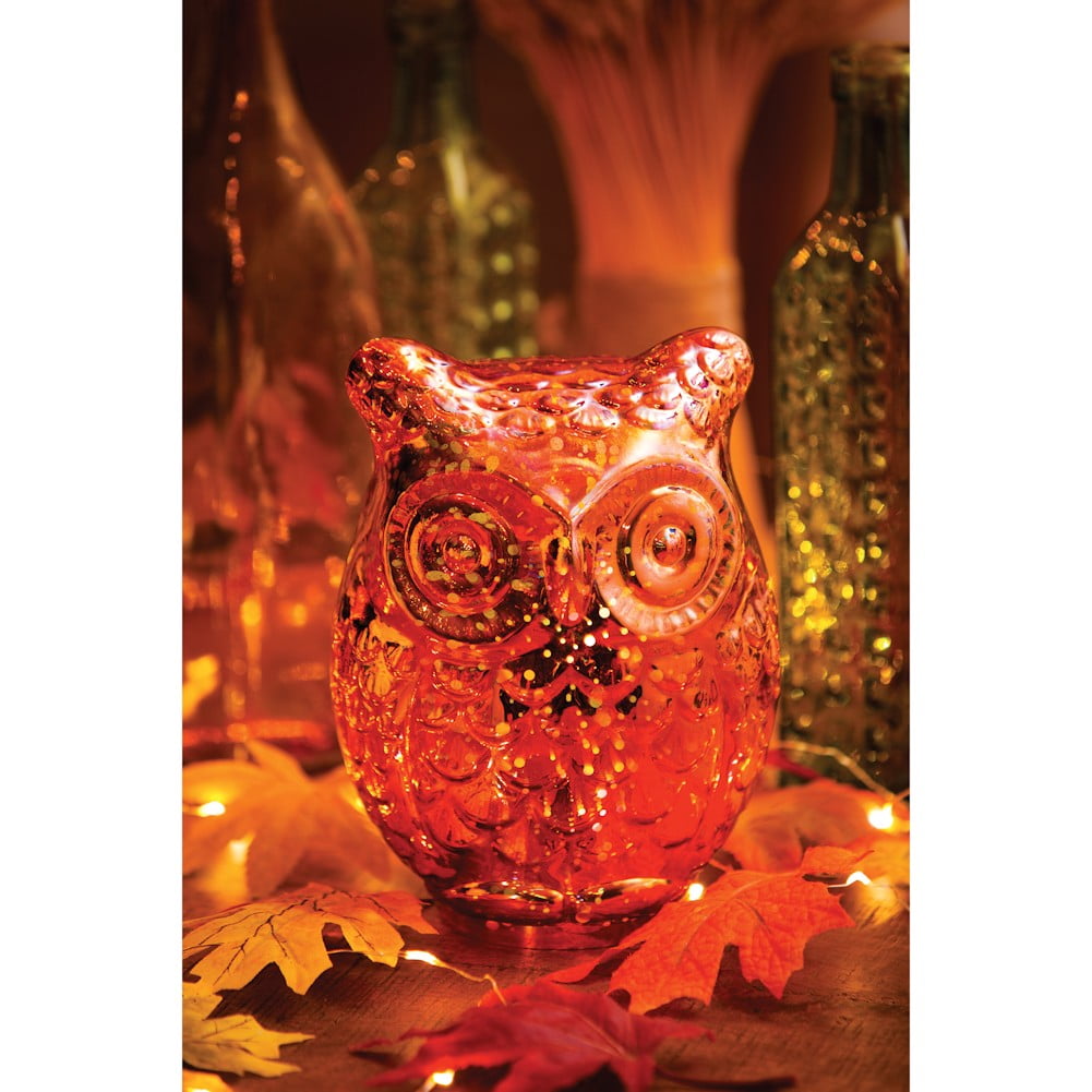 Shimmering Mercury Glass LED Owl Accent Light - Battery Powered ...