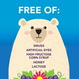 Vicks Botanicals Kids Cough Syrup Liquid, Daytime Cough Medicine for ...