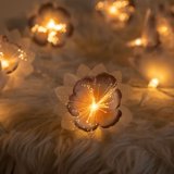 10ft 20 LED Warm White Flower Fiber Optic Fairy Lights, Battery ...