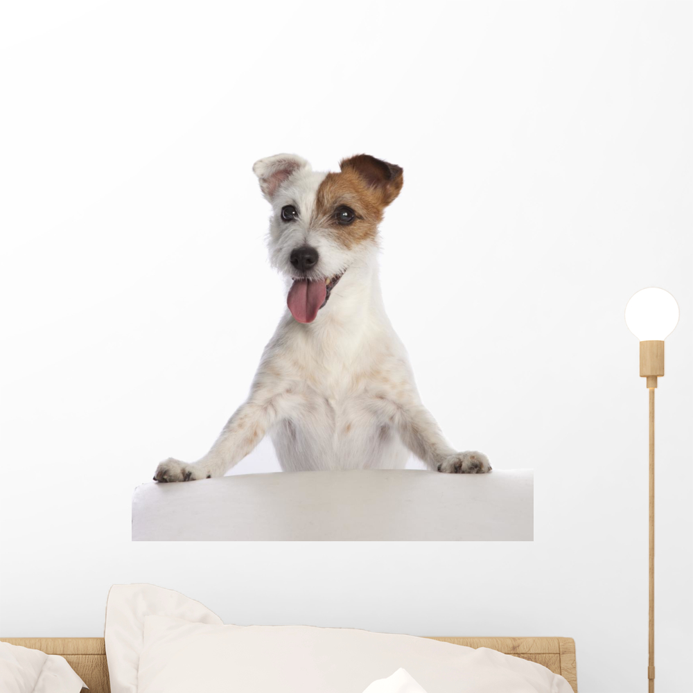 Jack Russell Terrier Standing Wall Decal by Wallmonkeys Peel and Stick ...