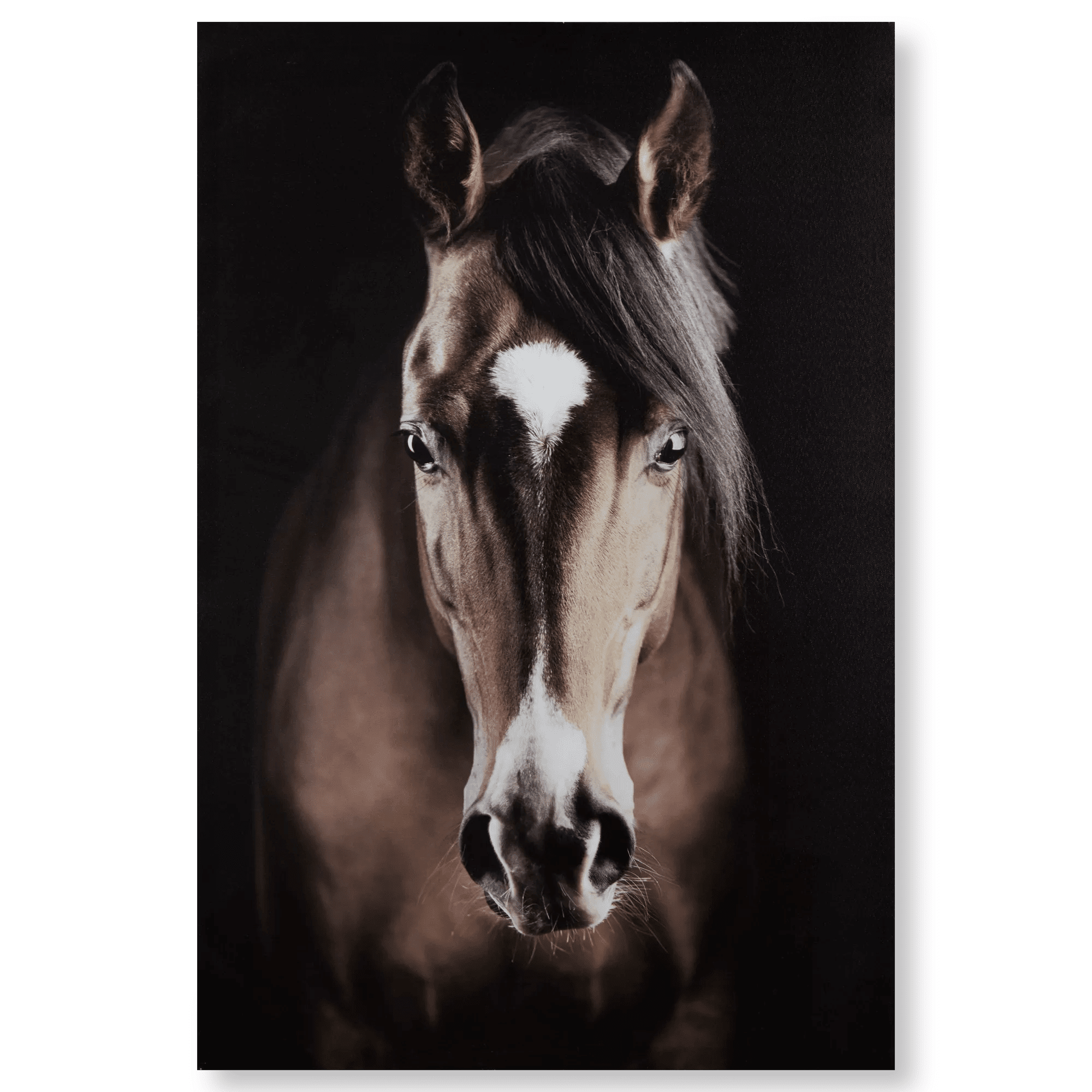 Click here for Bouclair Black Brown Horse Printed Canvas 24 X 36... prices