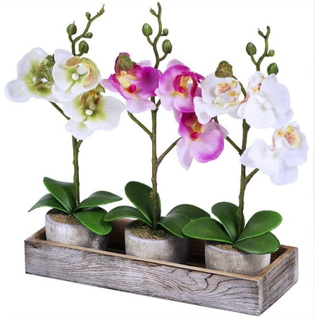 FanShowSet of 3 Fake Orchid Assortment Mini Potted Orchid Plants with ...