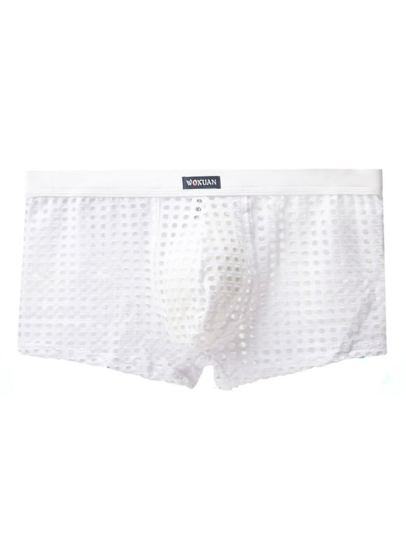 Mens Fishnet Briefs