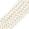 5Strand Round Shell Pearl Beads Strands Matte Surface Polished Seashell ...