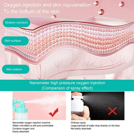 Oxygen Injection Machine Handheld Oxygen Injection Airbrush Ladies Skin ...