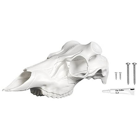 Mountain Mike's Reproductions Skull Master, Medium Antler Mounting Kit ...