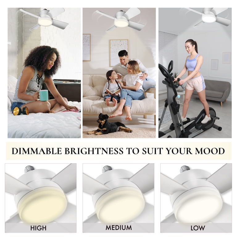 High Lumens Ceiling Fans | Shelly Lighting