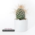 Matte White Ceramic Cylinder Vase Width 3.75" Height 4", Flower ...