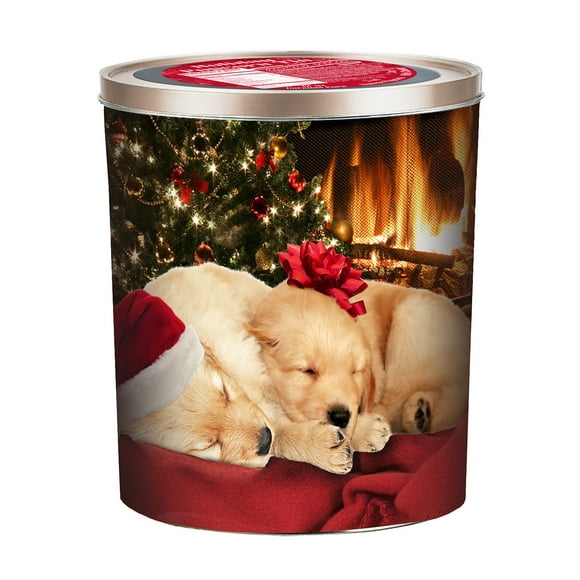 Popcorn Tins - Walmart.com