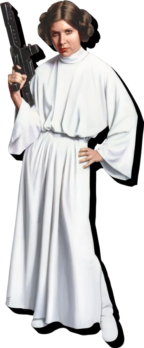 Star Wars Princess Leia Large Funky Chunky Magnet - Walmart.com