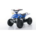 Tao Motor 40cc Gas-Powered Quad Wheeler Mini ATV for Kids - Pull Start ...
