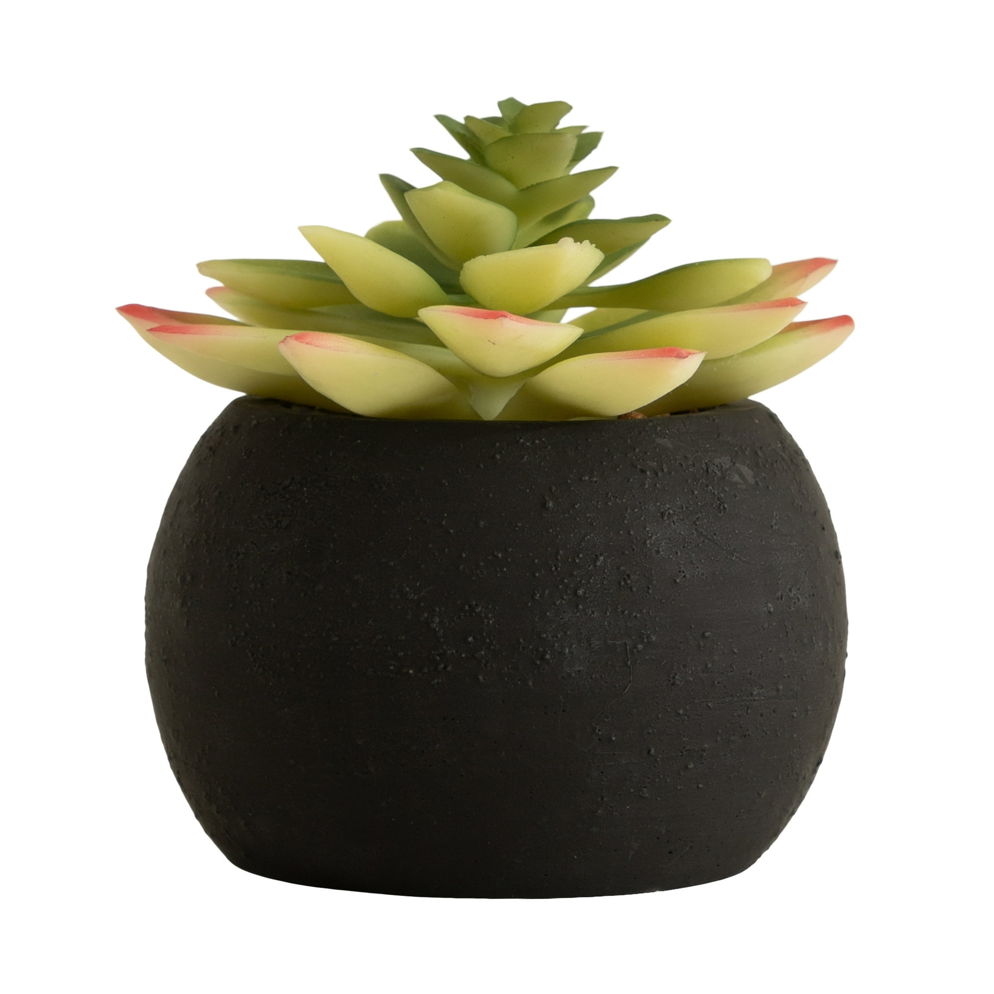 Click here for Designovation 4.25H Tabletop Artificial Succulent... prices