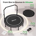 BCAN BT2 48-Inch Adult Mini Rebounder Trampoline, 550-pound weight ...