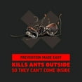 Amdro Ant Block Home Perimeter Ant Bait, Ant Killer, Lasts Up to 3 ...