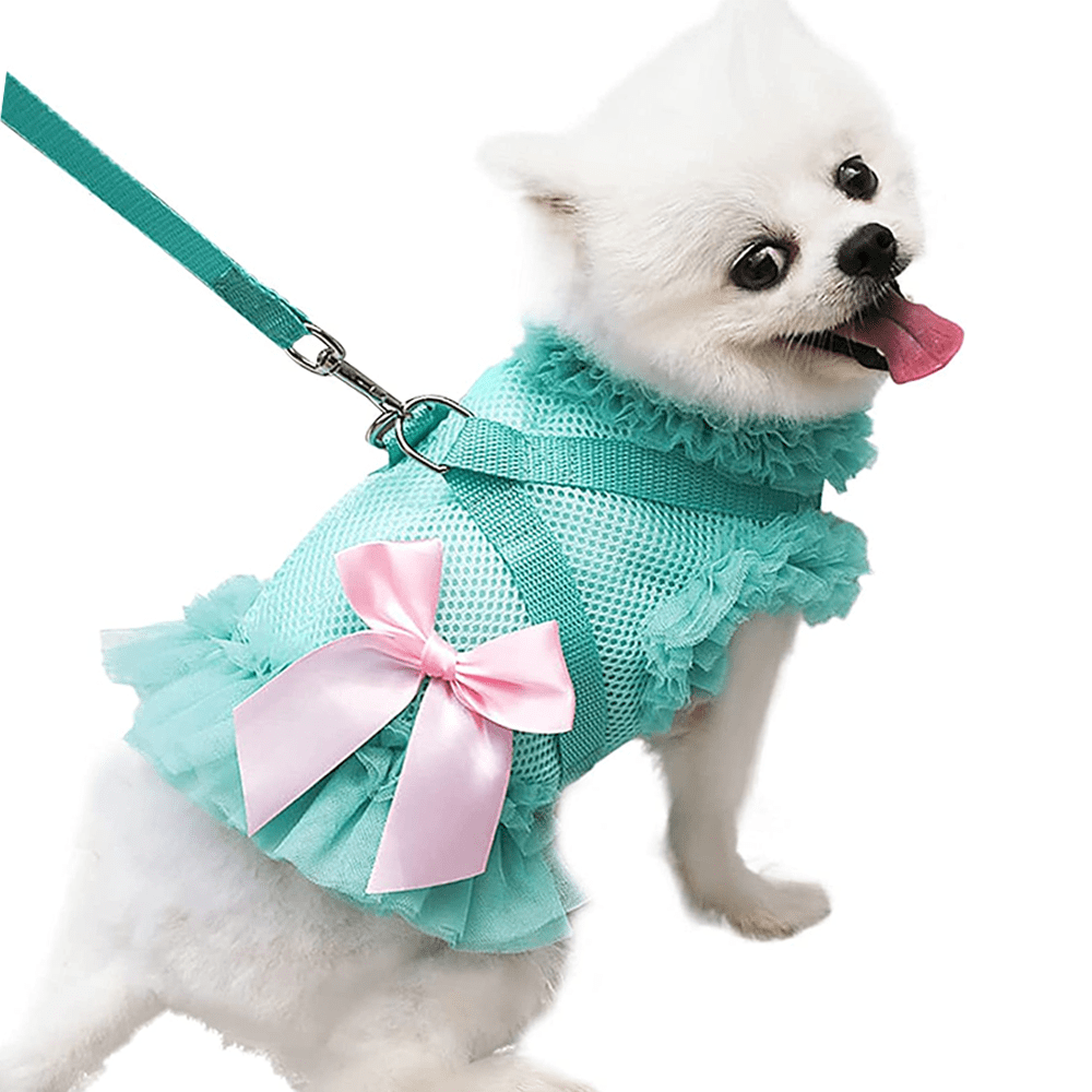Small Dog Harness and Leash Set No Pull Puppy Vest Harnesses Soft ...