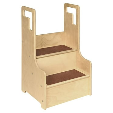 Wide Platform Safety Step – Indoor and Outdoor Mobility Aid for Vehicle ...