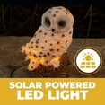 Walmart Owl Solar Powered LED Garden Light, Outdoor, Rechargeable ...
